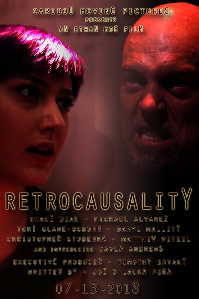 Retrospect On The Film Retrocausality – Syd Heresy DIY